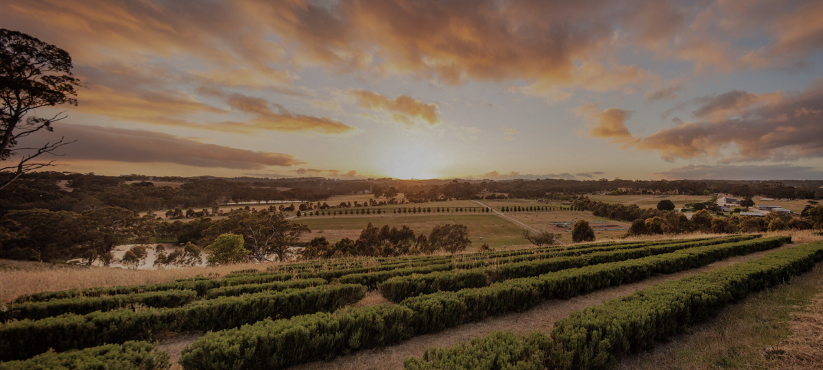 New Our Farm – Jurlique Australia